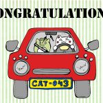 A5 Congratulations postcard with car & cats - €2,50
